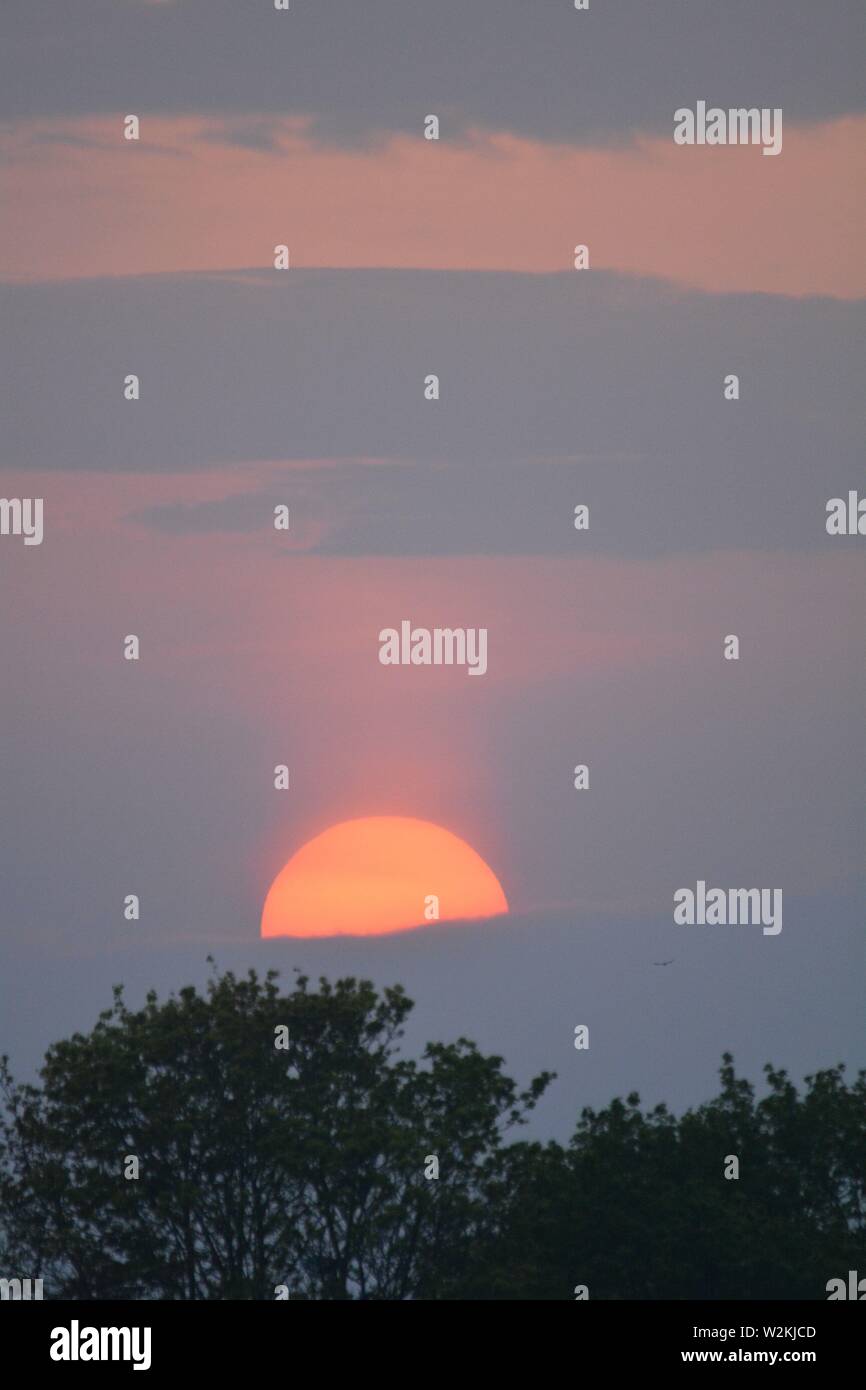 half sun setting over trees, with pale clouds and pink sky Stock Photo ...