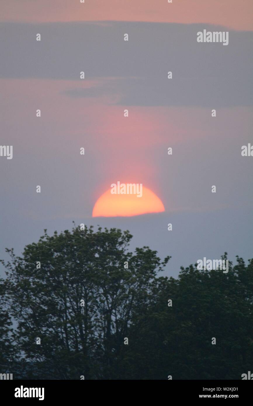 half sun setting over trees, with pale clouds and pink sky Stock Photo ...
