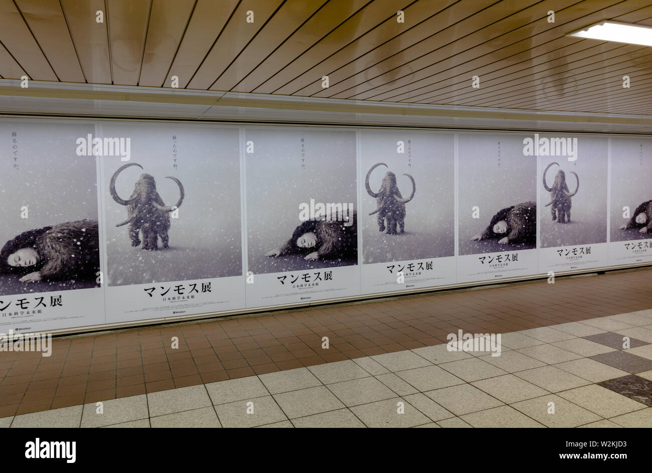 Cool tokyo metro hi-res stock photography and images - Alamy