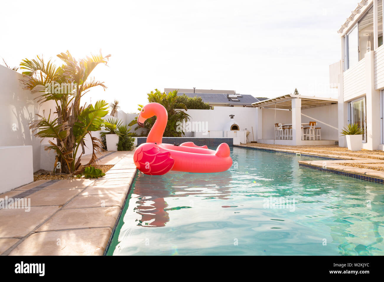 Pink flamingo bird shape inflatable tube floating in a swimming pool in ...