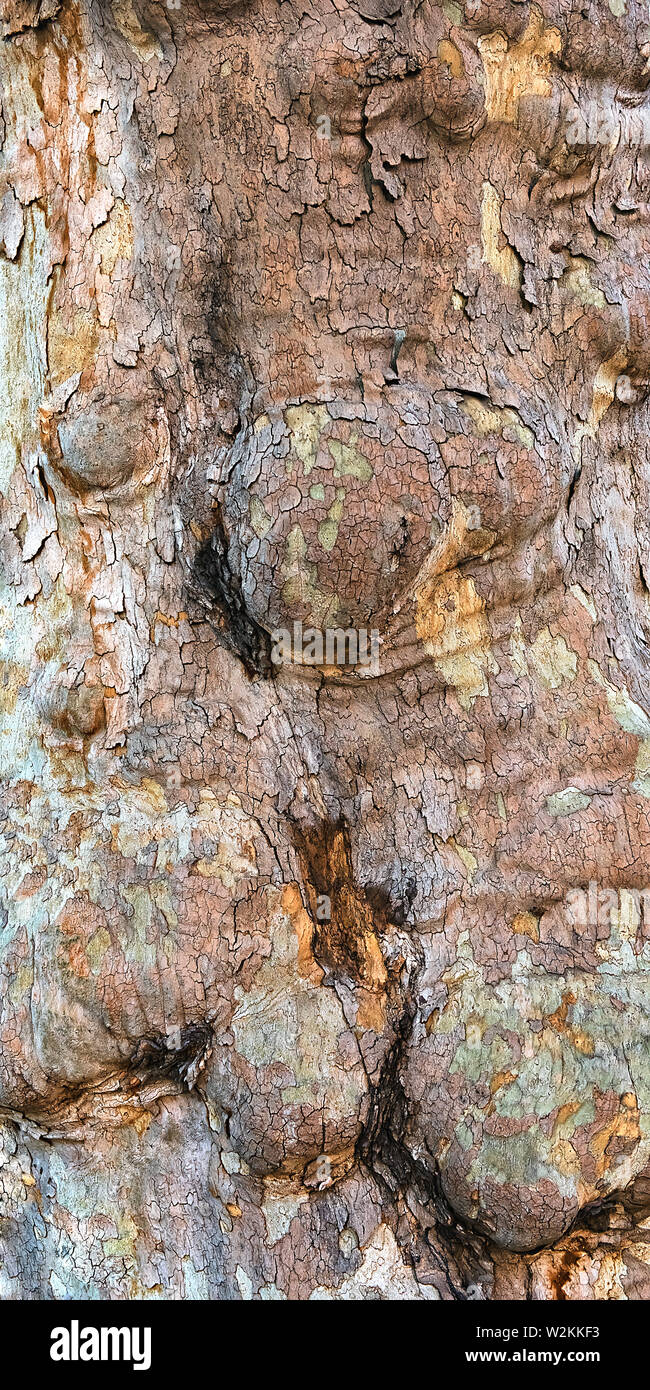 Green nodules hi-res stock photography and images - Alamy