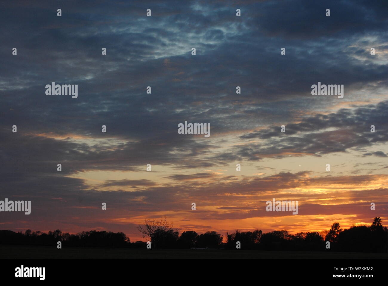 Yellow blue indigo hi-res stock photography and images - Alamy