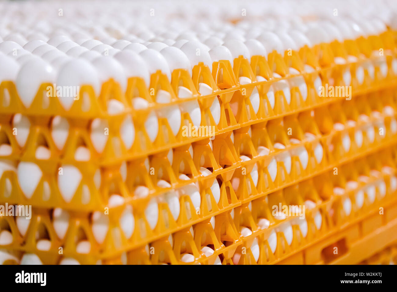 Chicken egg grading hi-res stock photography and images - Alamy
