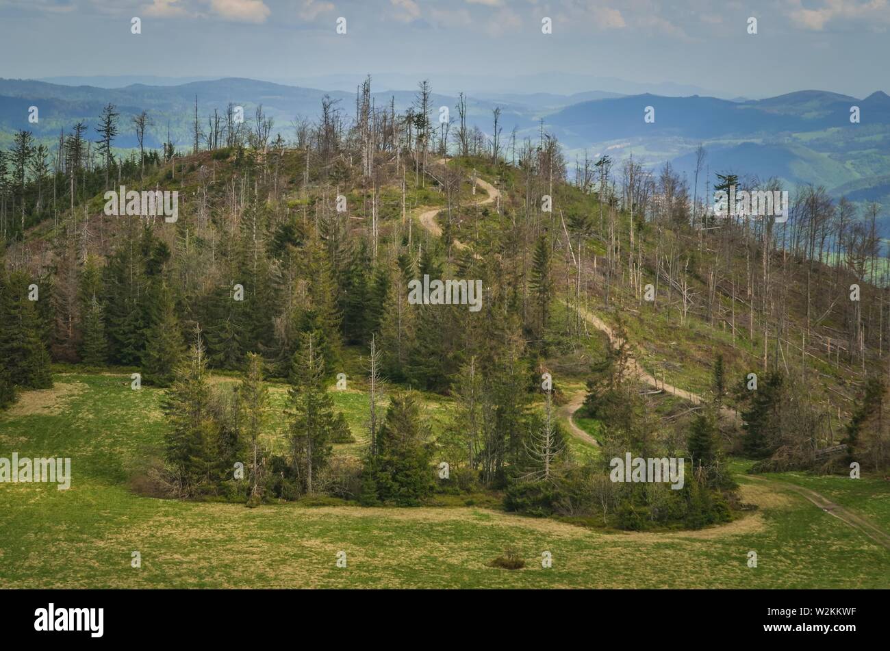 Beautiful mountain spring landscape. Picturesque path to the mountain ...