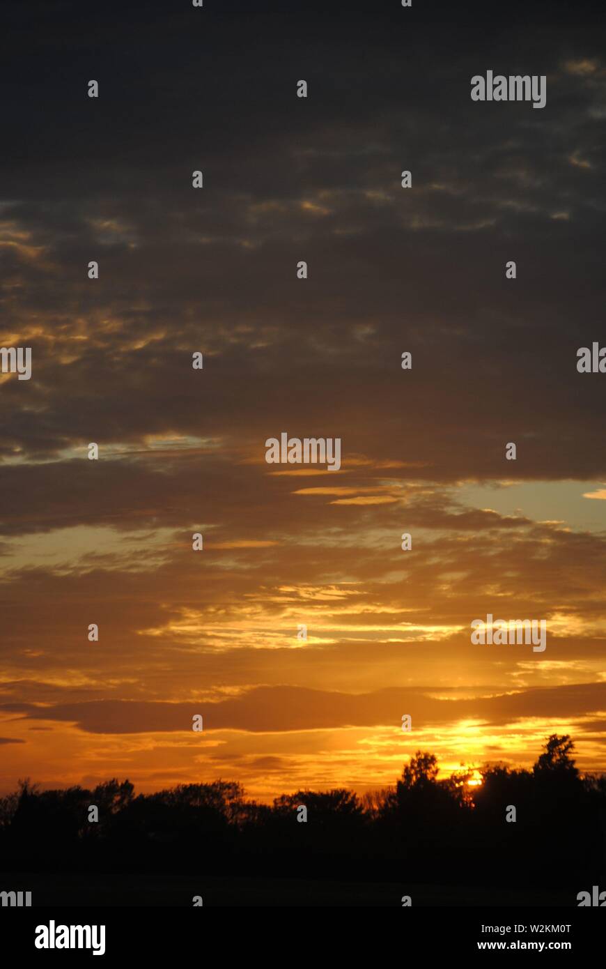 sunset sequence golden glow with lots of clouds with tree silhouettes ...