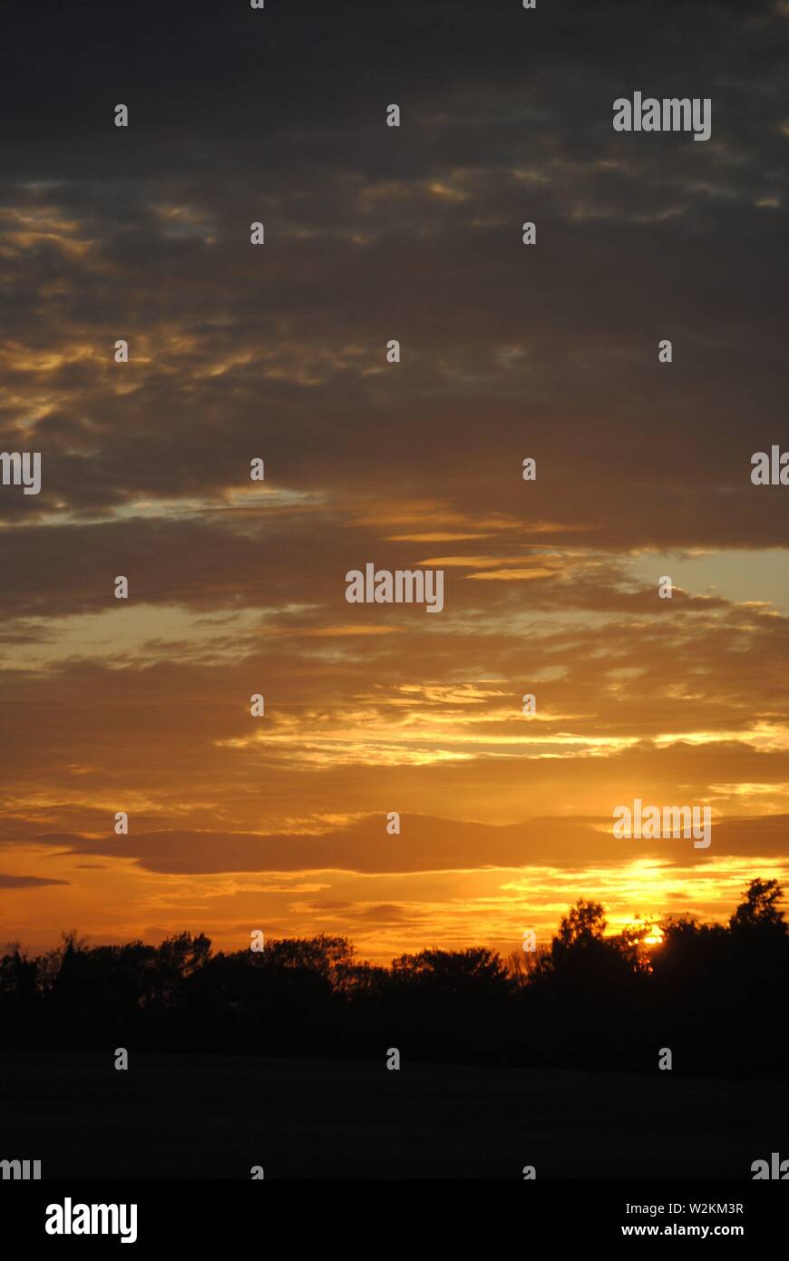 sunset sequence golden glow with lots of clouds with tree silhouettes ...