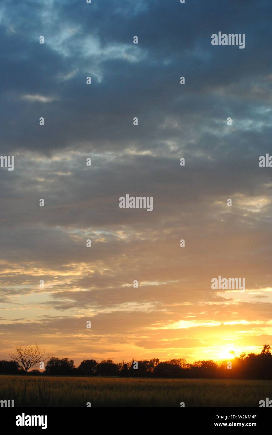 sunset sequence golden glow with lots of clouds with tree silhouettes ...