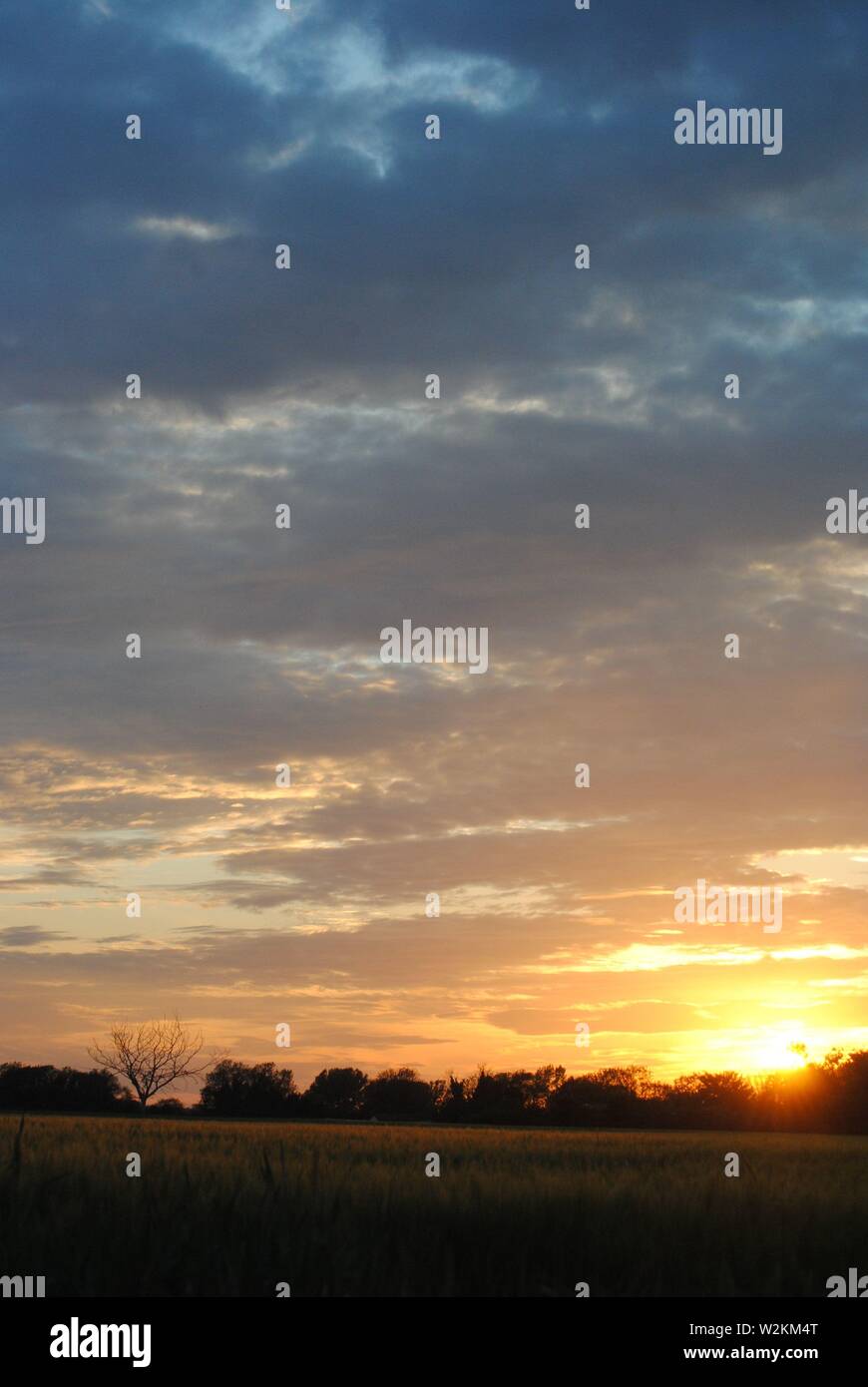 sunset sequence golden glow with lots of clouds with tree silhouettes ...
