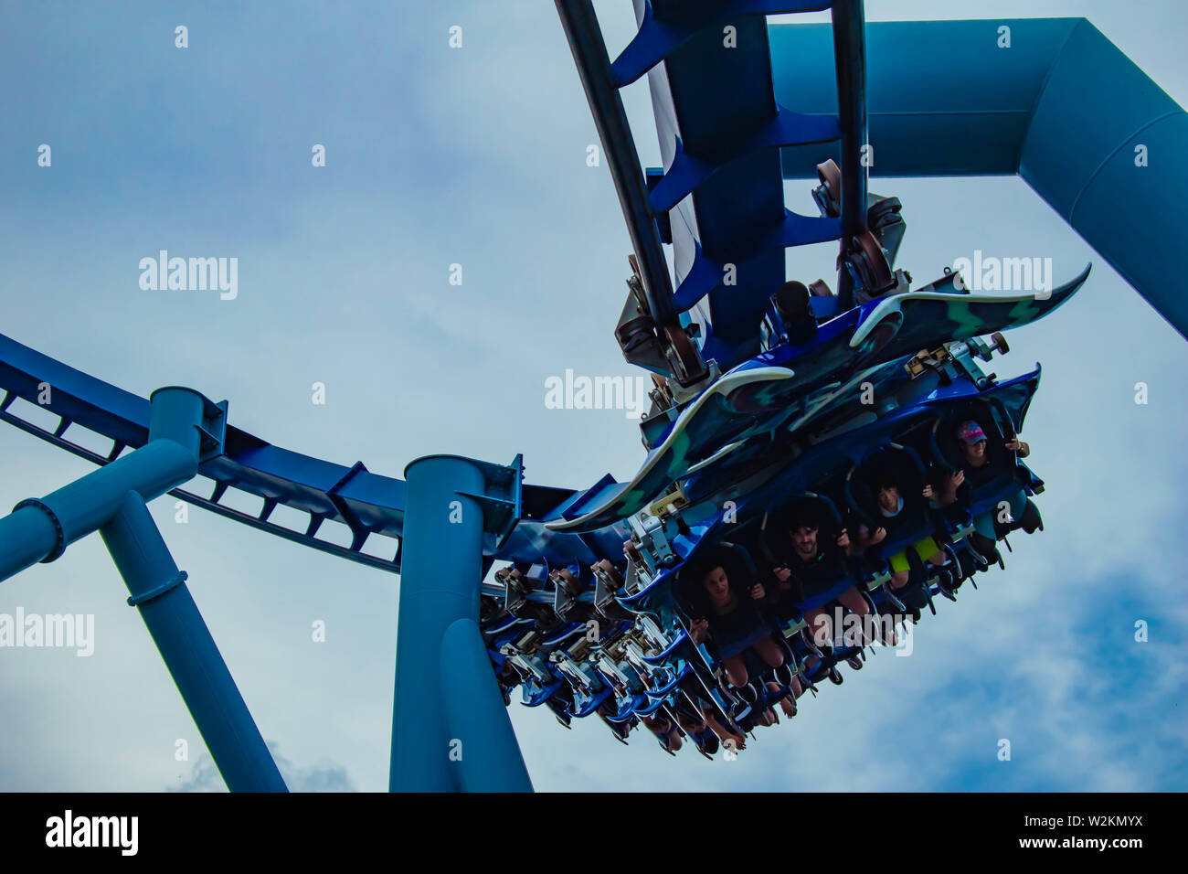Manta ray looping hi-res stock photography and images - Alamy