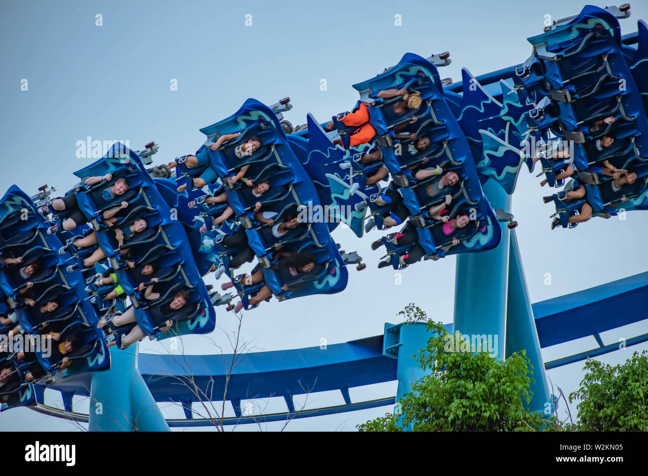Orlando, Florida. June 25 2019. People enjoying amazing Manta Ray ...