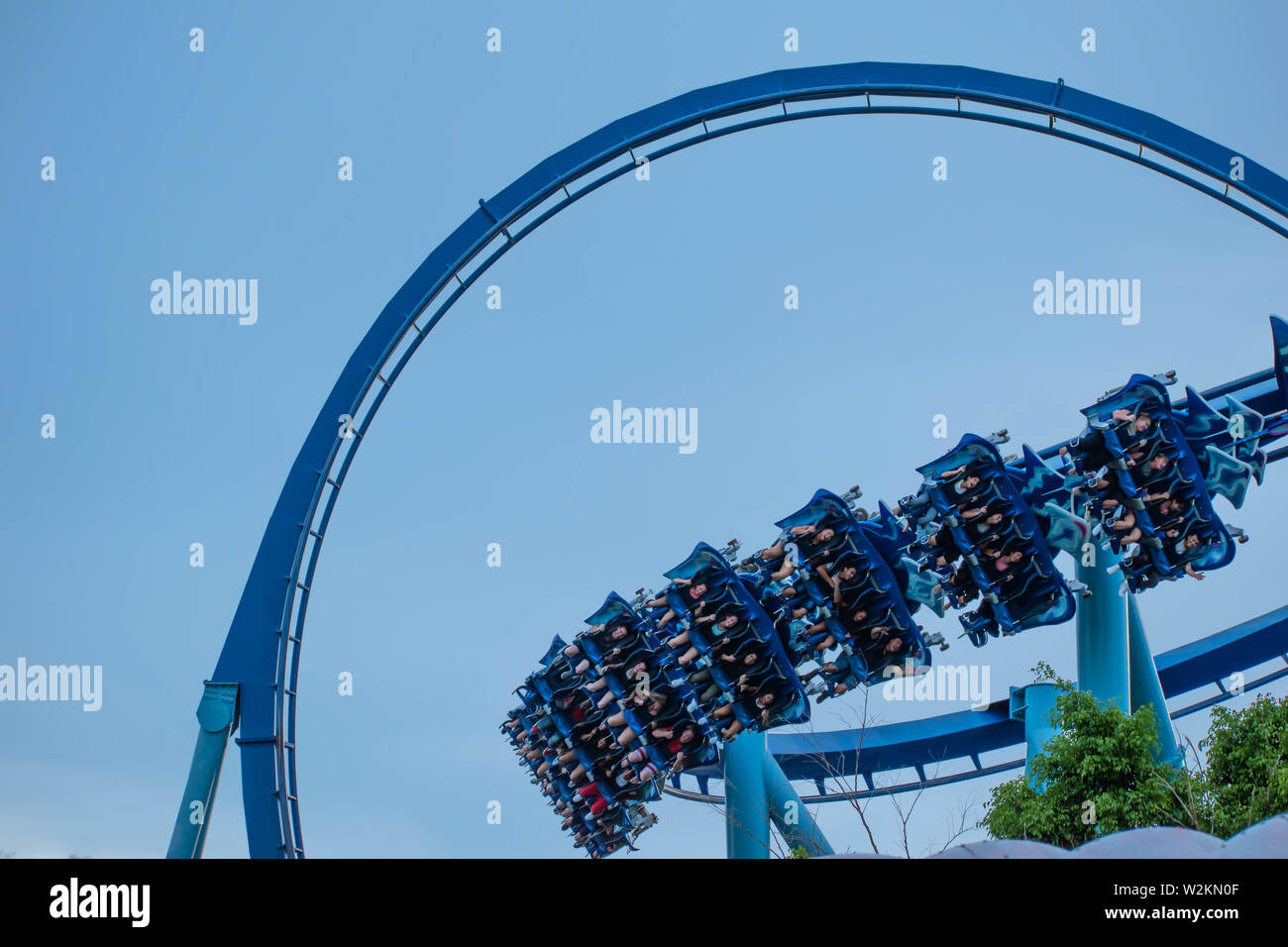 Orlando, Florida. June 25 2019. People enjoying amazing Manta Ray ...