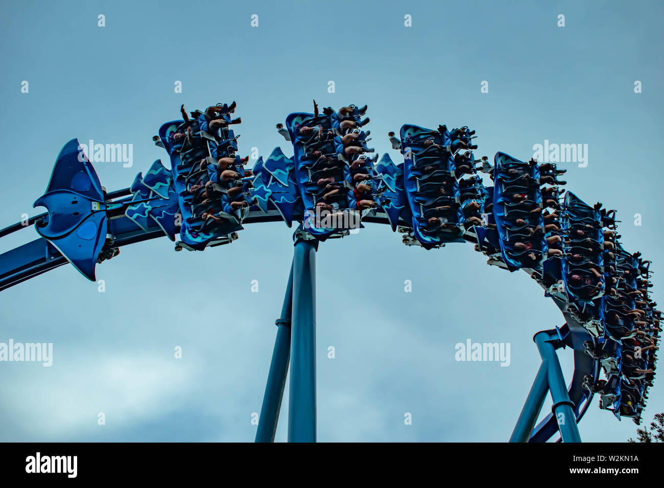Orlando, Florida. June 25 2019. People enjoying amazing Manta Ray ...