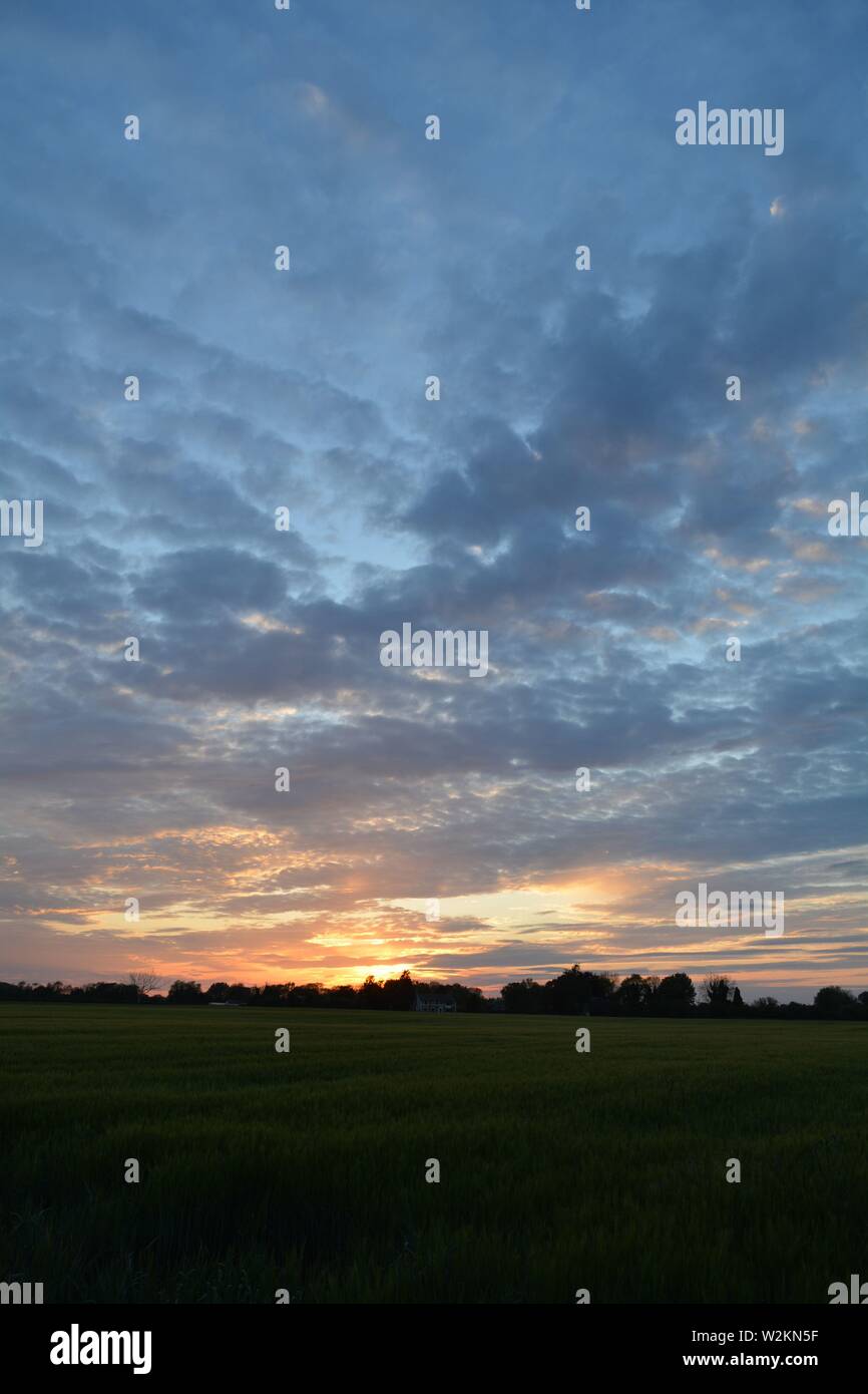 a collection of shots of the sun setting over the flat Suffolk fields ...
