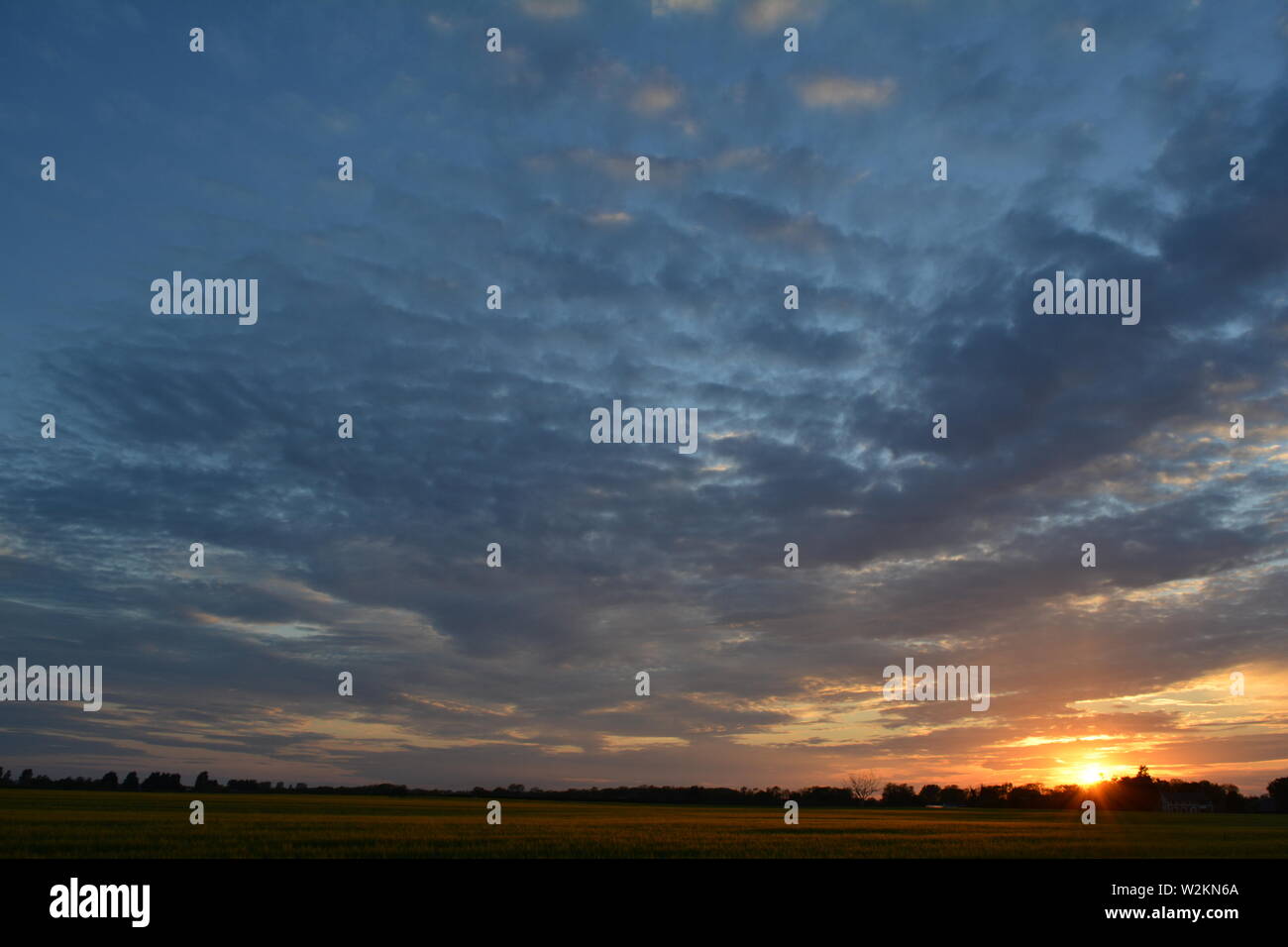 a collection of shots of the sun setting over the flat Suffolk fields ...