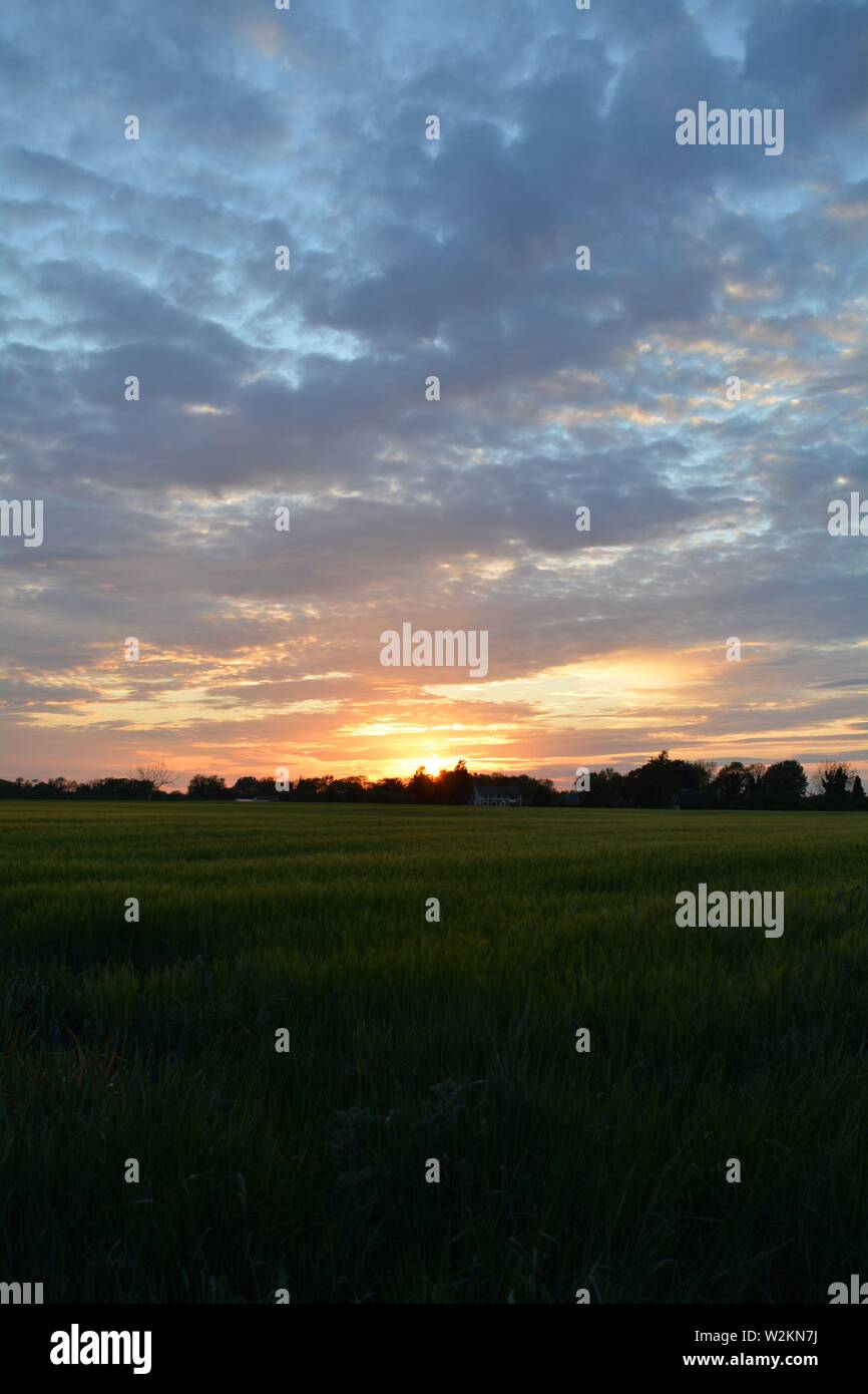 a collection of shots of the sun setting over the flat Suffolk fields ...