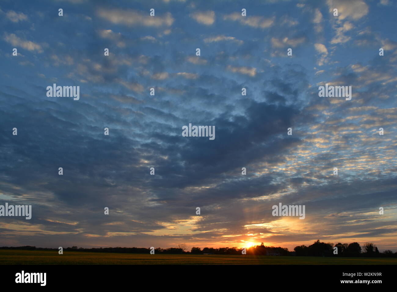 a collection of shots of the sun setting over the flat Suffolk fields ...