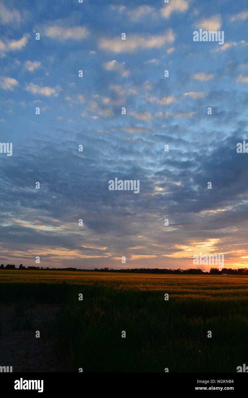 a collection of shots of the sun setting over the flat Suffolk fields ...
