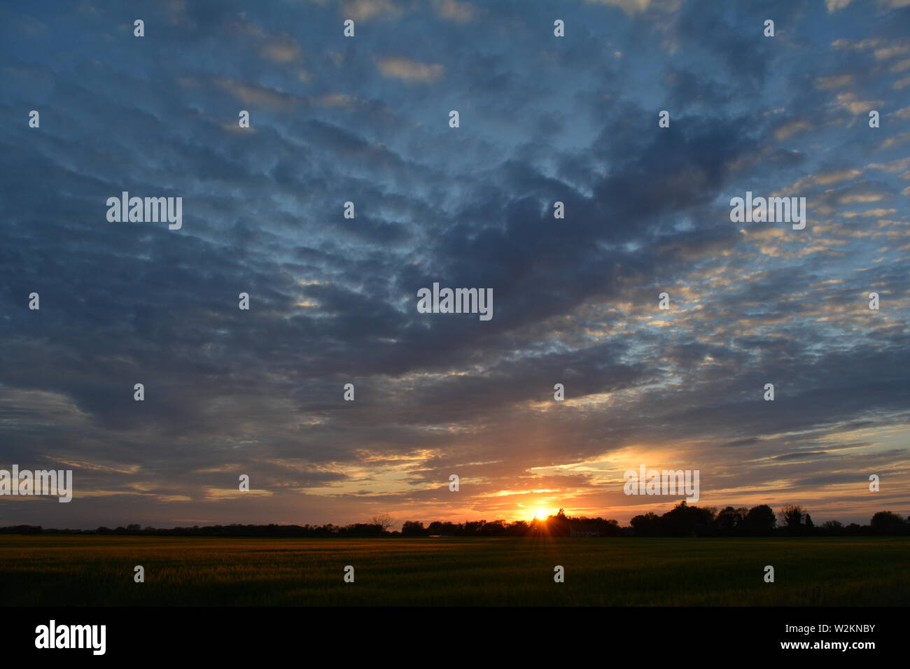 a collection of shots of the sun setting over the flat Suffolk fields ...