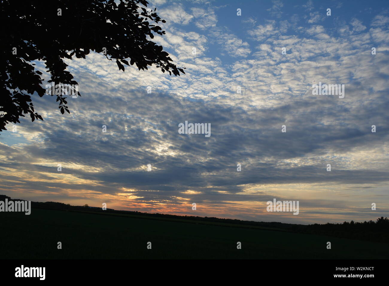 a collection of shots of the sun setting over the flat Suffolk fields ...