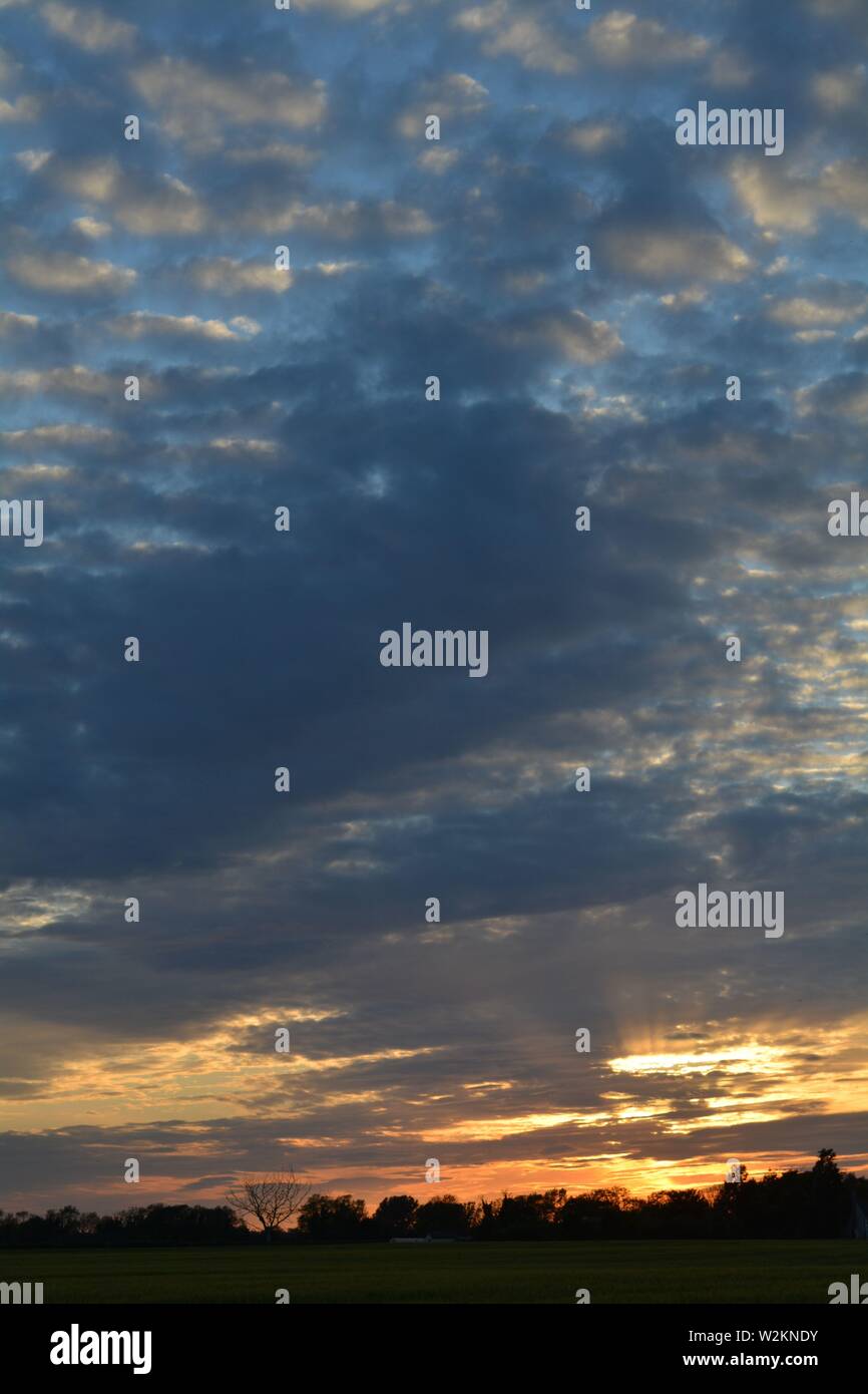 a collection of shots of the sun setting over the flat Suffolk fields ...