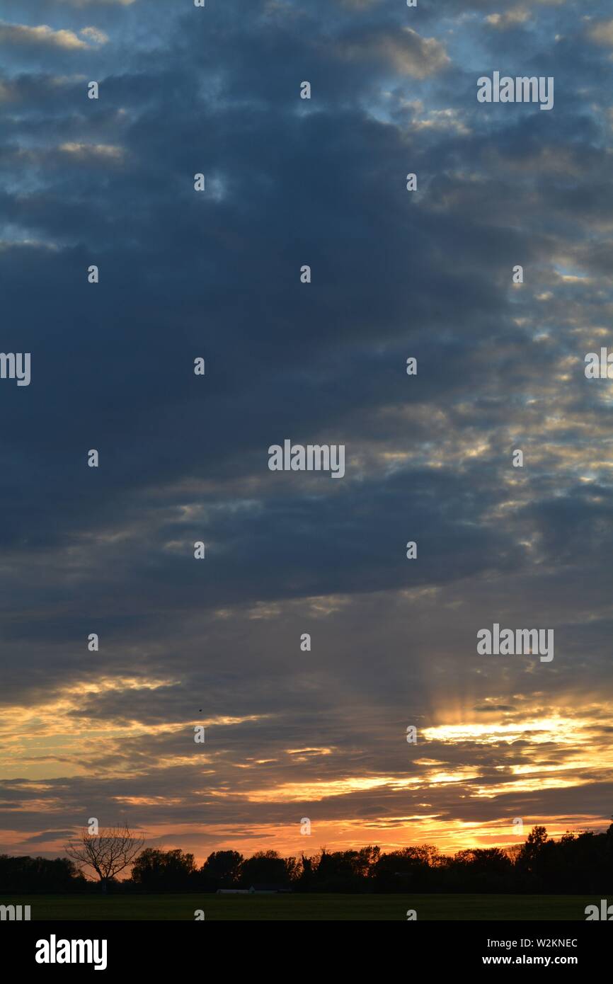 a collection of shots of the sun setting over the flat Suffolk fields ...
