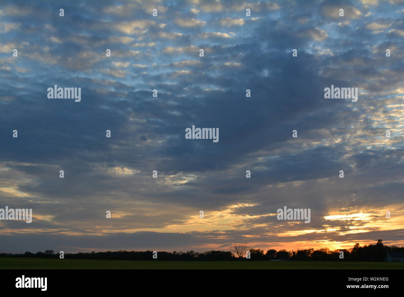 a collection of shots of the sun setting over the flat Suffolk fields ...