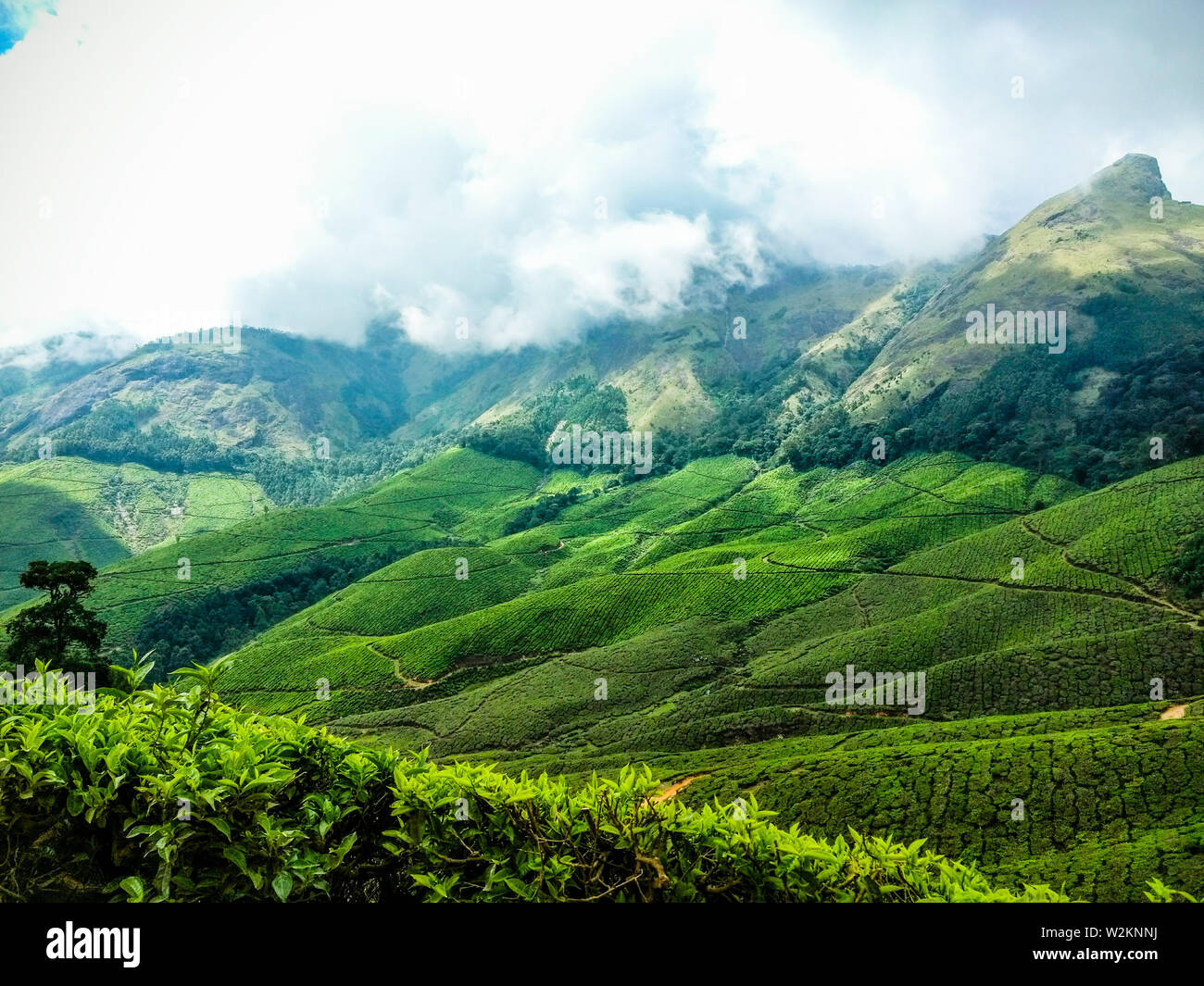 Nature, Hill, Landscape Stock Photo - Alamy