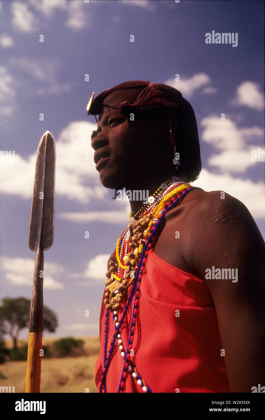 Masai warrior with a spear, Masai Mara, Kenya Stock Photo - Alamy