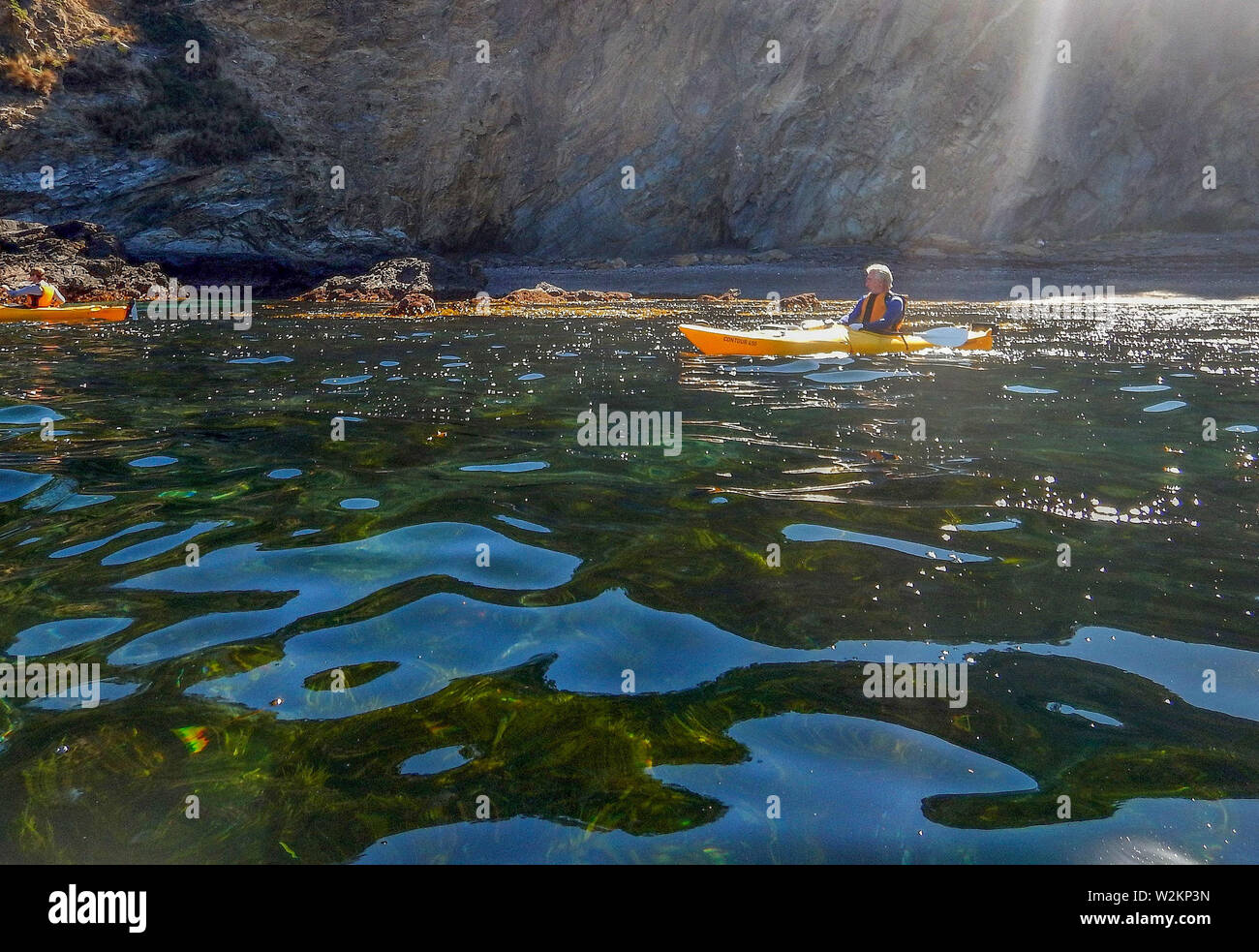 Seaweed visible below surface hi-res stock photography and images - Alamy