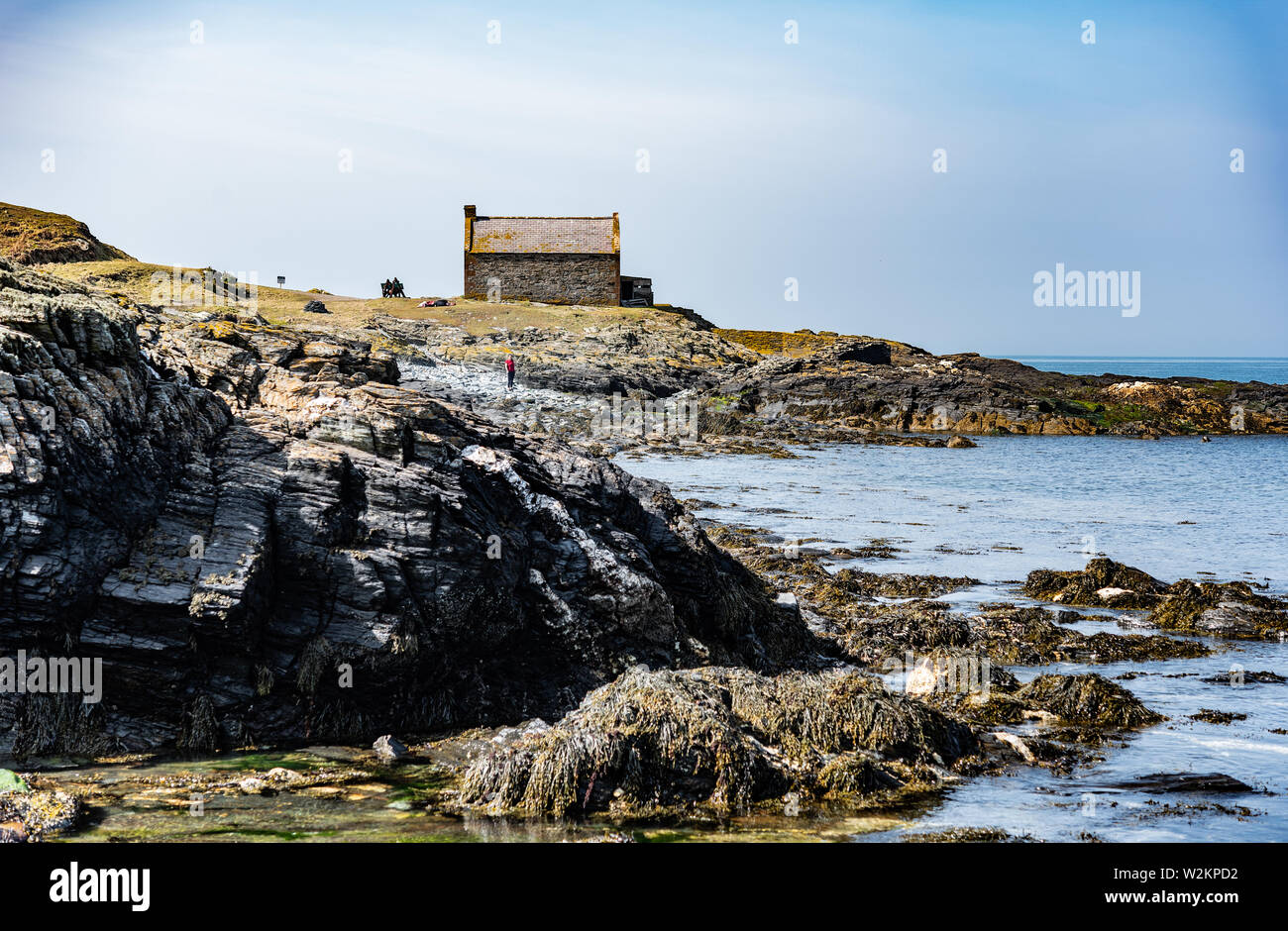 Calf of man island hi-res stock photography and images - Alamy