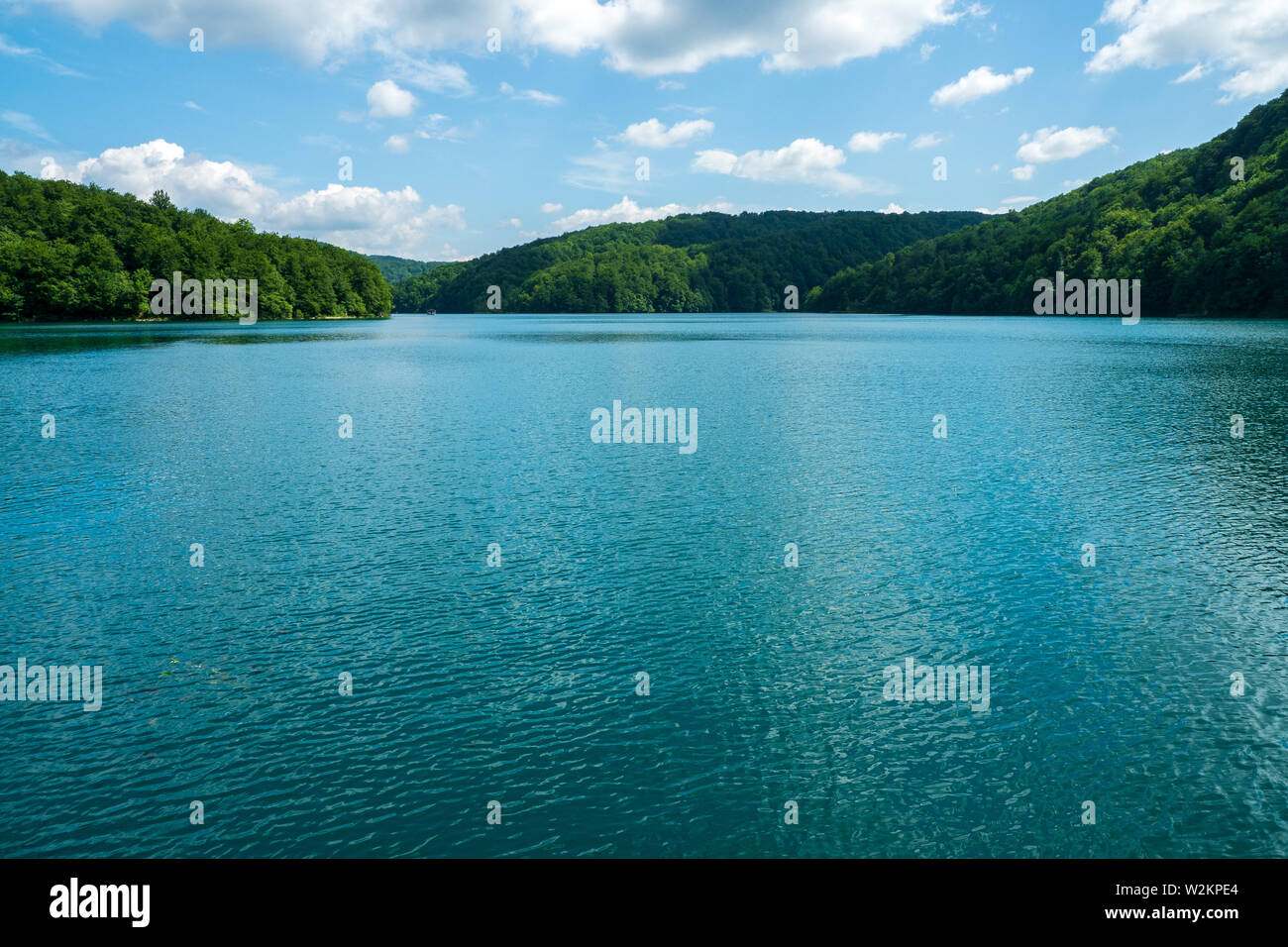Scenic view of the azure coloured Lake Kozjak surrounded by densely ...