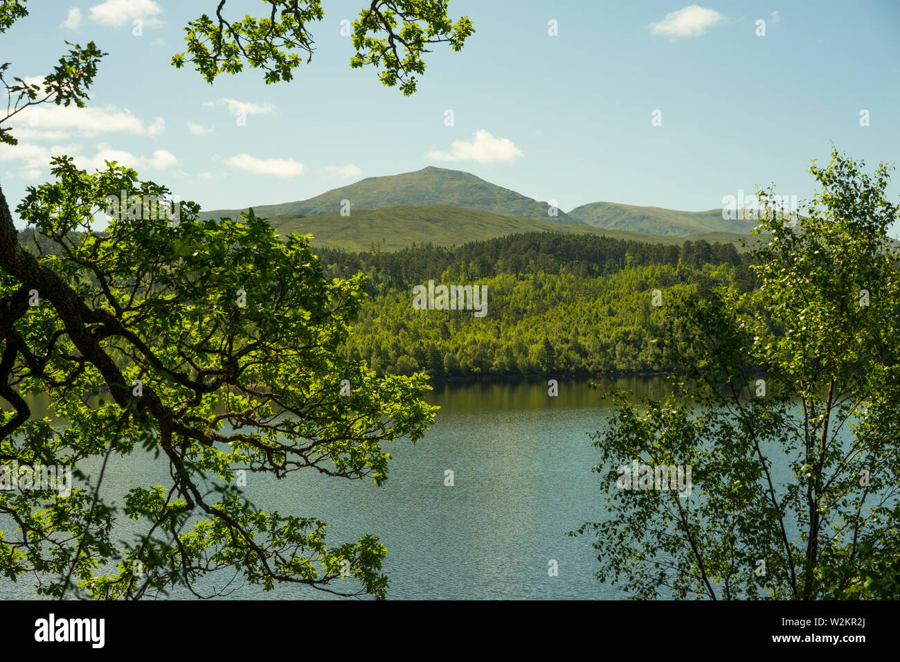 Loch Garry, Invergarry, Highland, Scotland, UK Stock Photo - Alamy