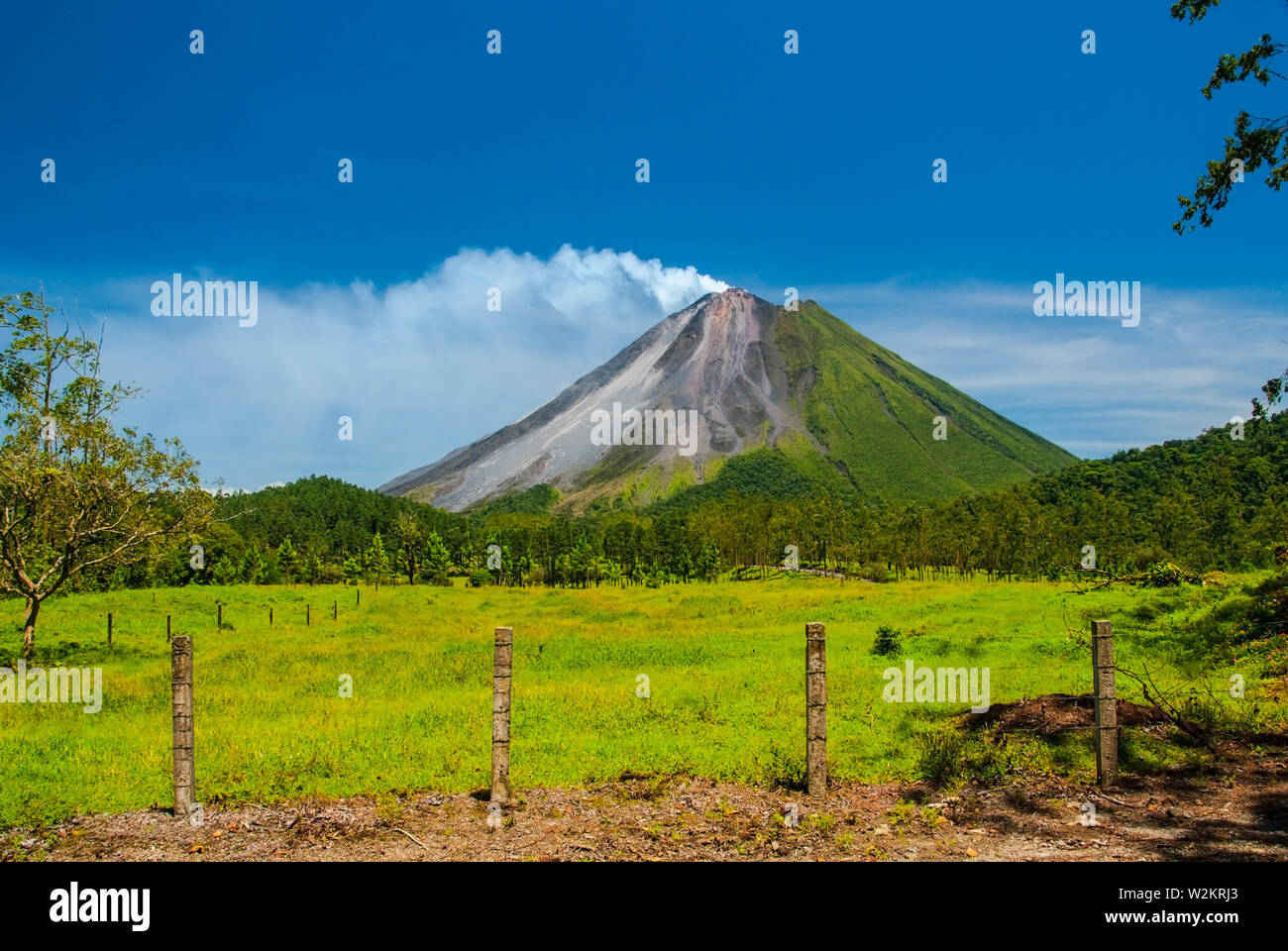 Classic cone hi-res stock photography and images - Alamy