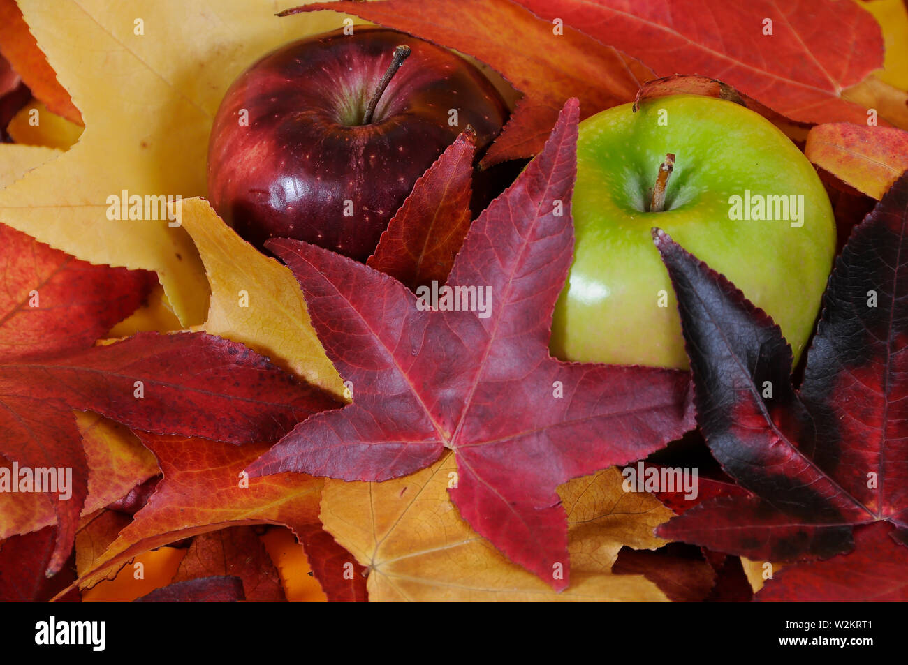 Fall Leaves with Apples Stock Photo - Alamy