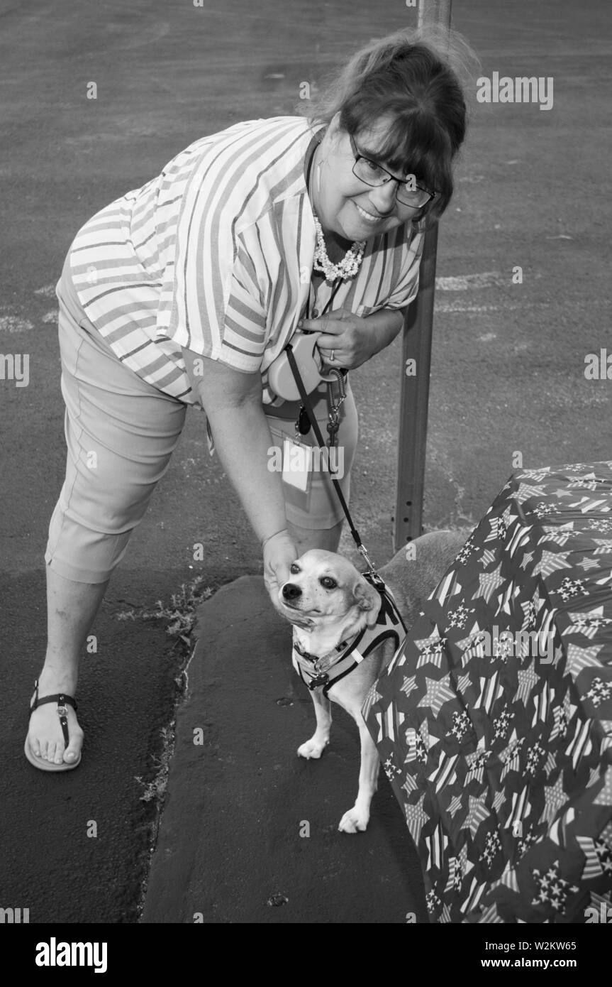 Brown hair dog Black and White Stock Photos & Images - Alamy