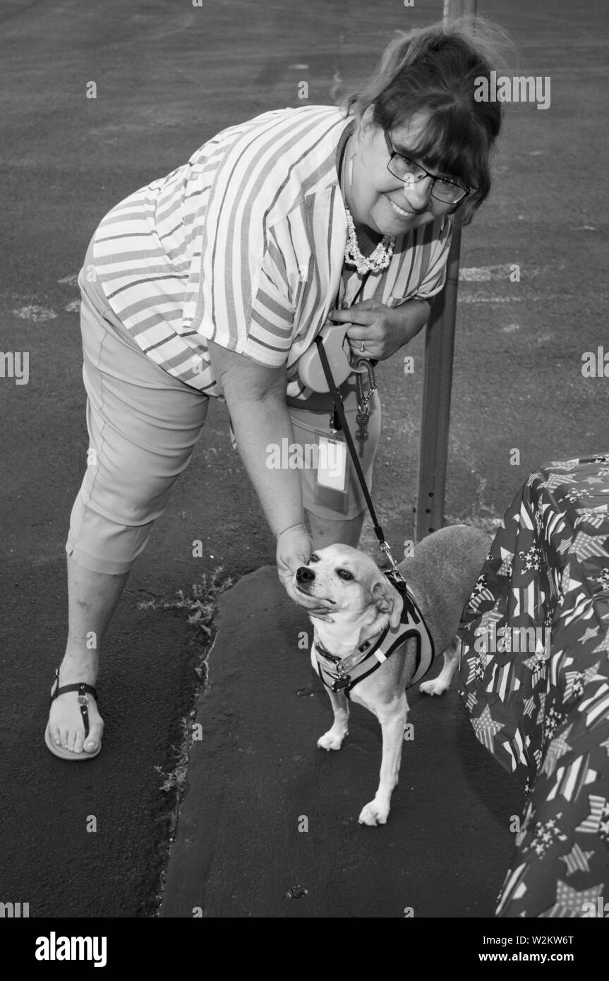 Brown hair dog Black and White Stock Photos & Images - Alamy