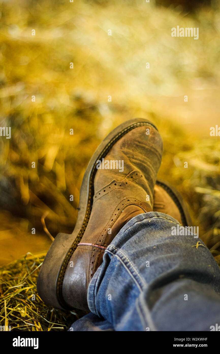Cowgirlboots hi-res stock photography and images - Alamy