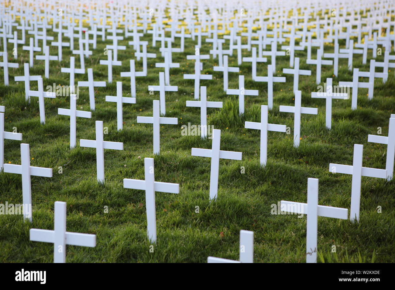 Memorial service for fallen soldiers. White crosses in park Stock Photo ...