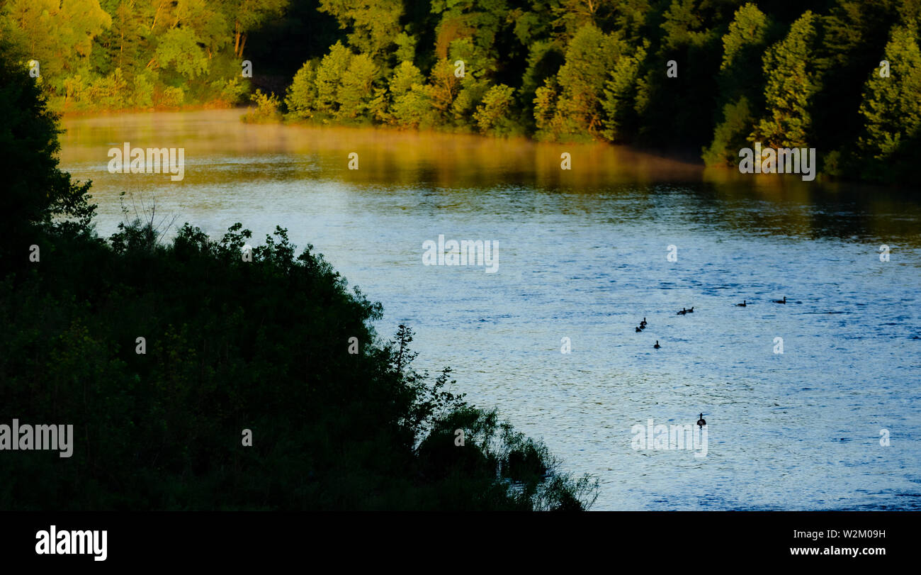 Springbank park london hi-res stock photography and images - Alamy