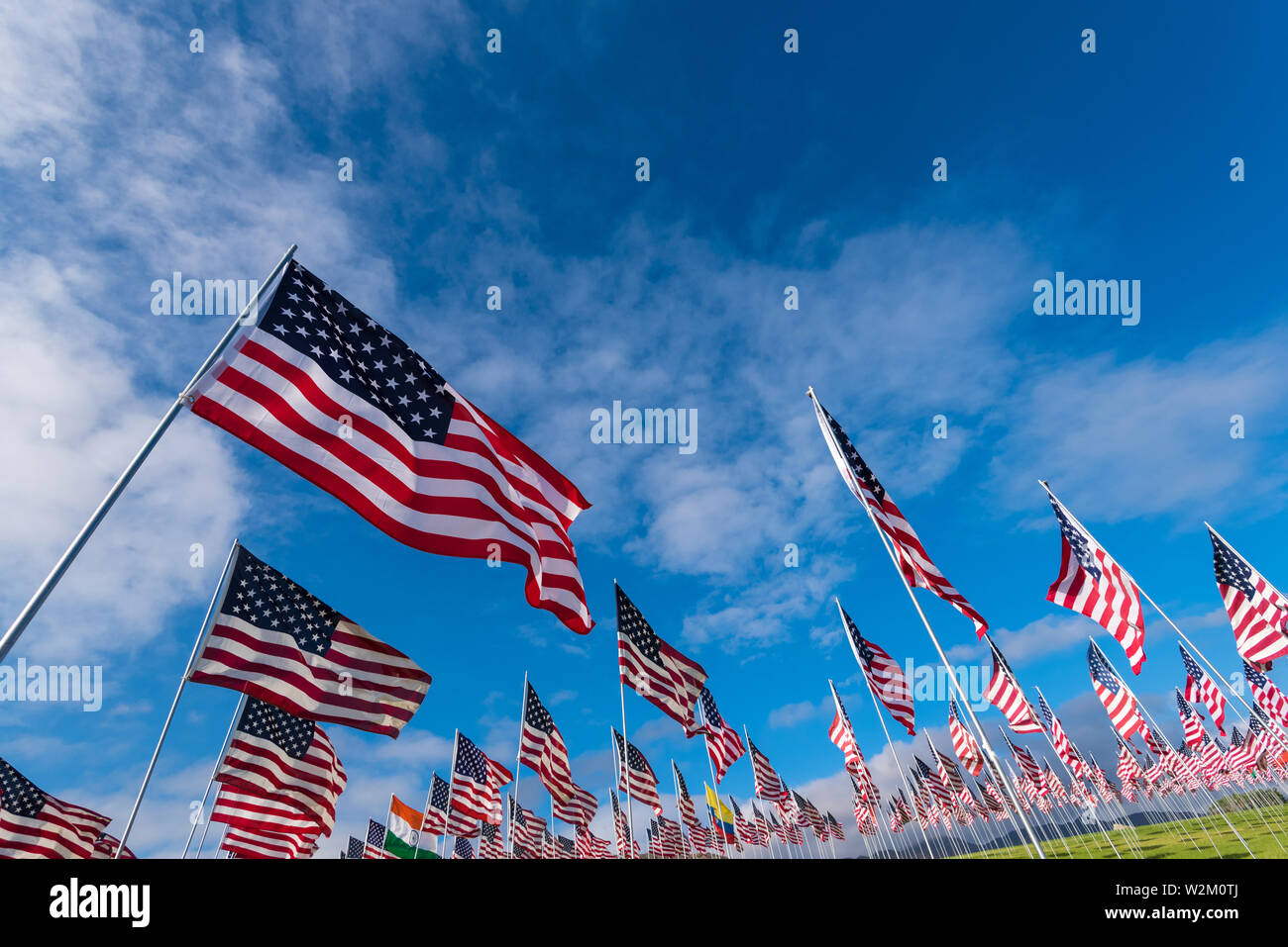 Memorial day field flags hi-res stock photography and images - Alamy
