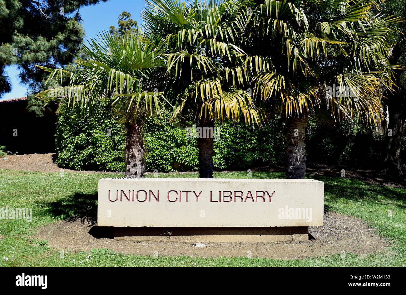 Library of trees hi-res stock photography and images - Alamy