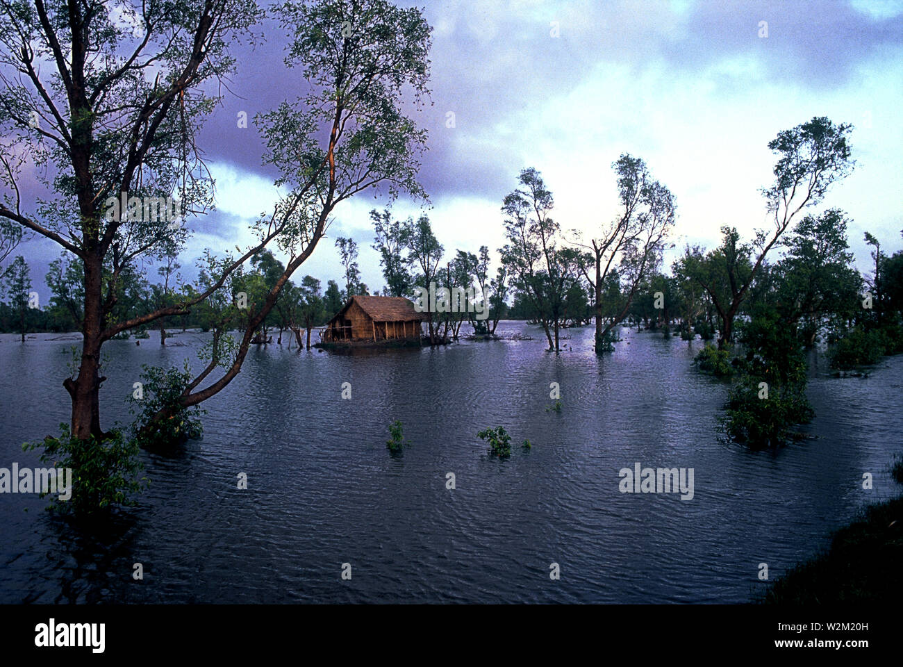 Nijhum dwip hi-res stock photography and images - Alamy