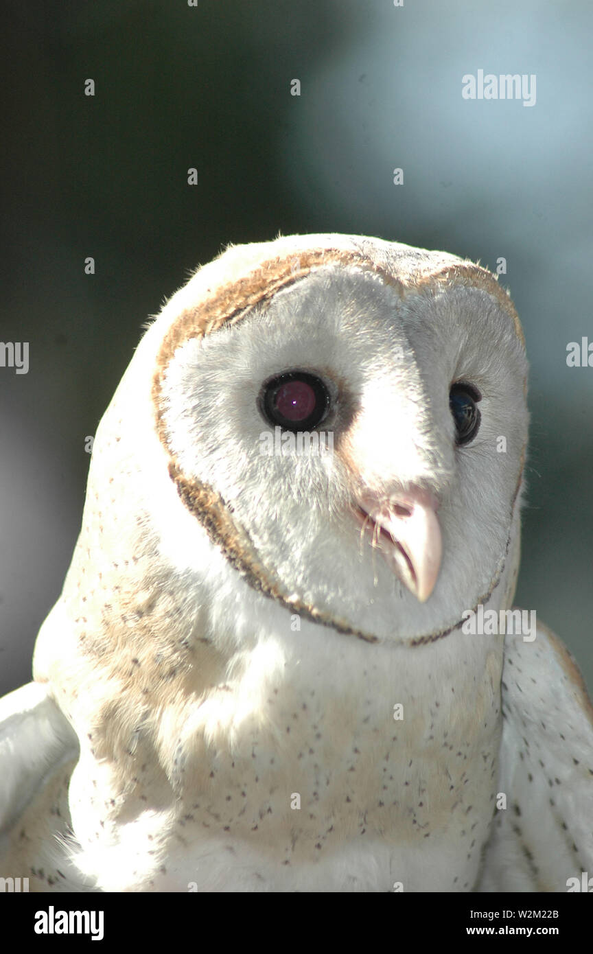 Dhaka bangladesh 23 december hi-res stock photography and images - Alamy