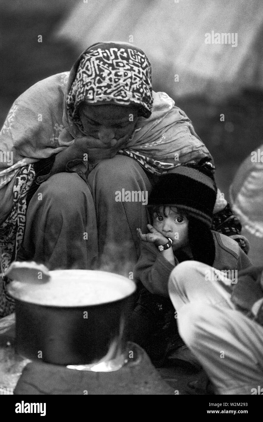 Narr hi-res stock photography and images - Alamy