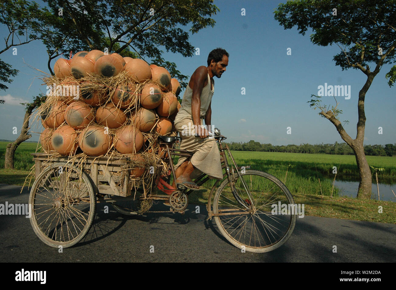 A rickshaw van puller carrying pottery to the market. Pirgacha, Rangpur ...