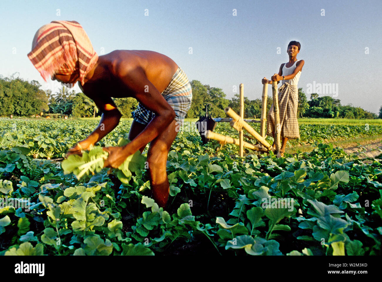 Ishurdi hi-res stock photography and images - Alamy