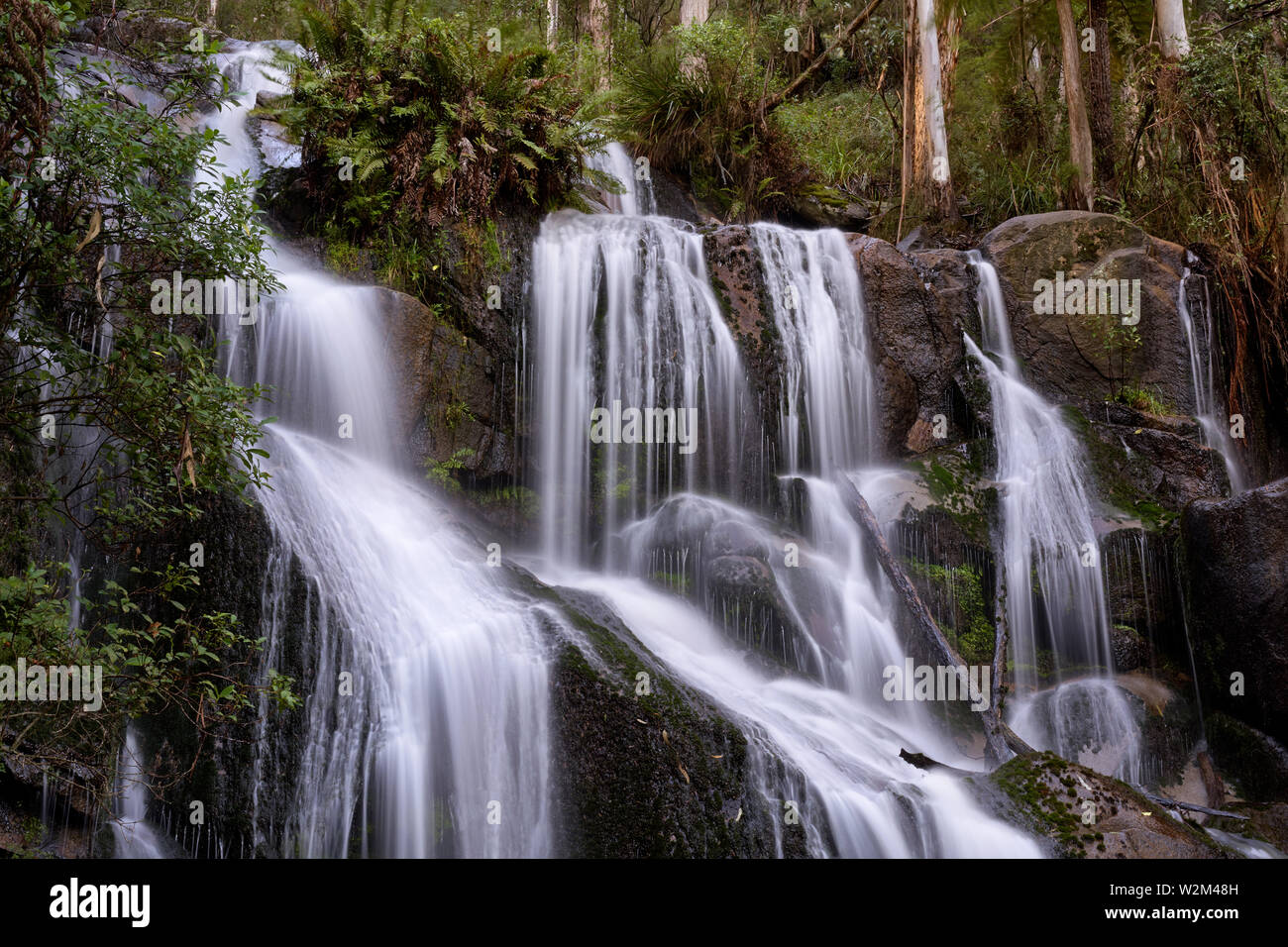 Rock river ferns rock river hi-res stock photography and images - Alamy