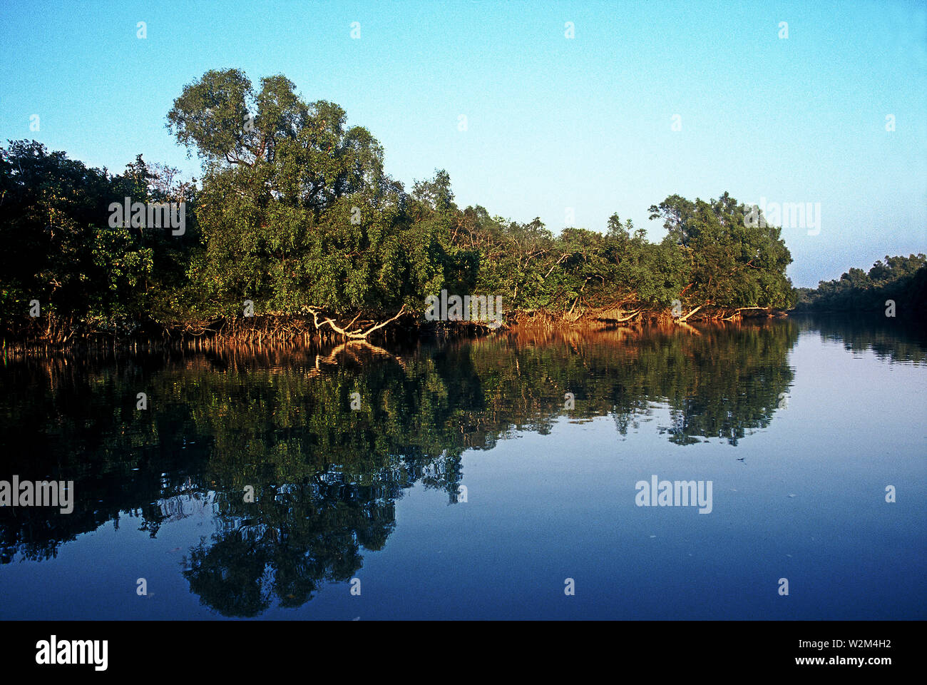 A UNESCO World Heritage site, Sundarban is the largest littoral ...