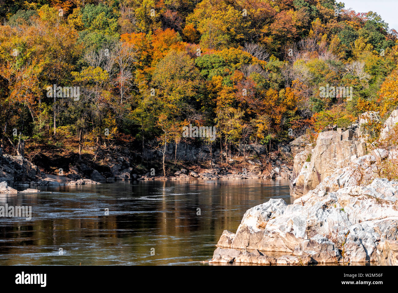 Great Falls water and orange red autumn trees forest foliage view in ...