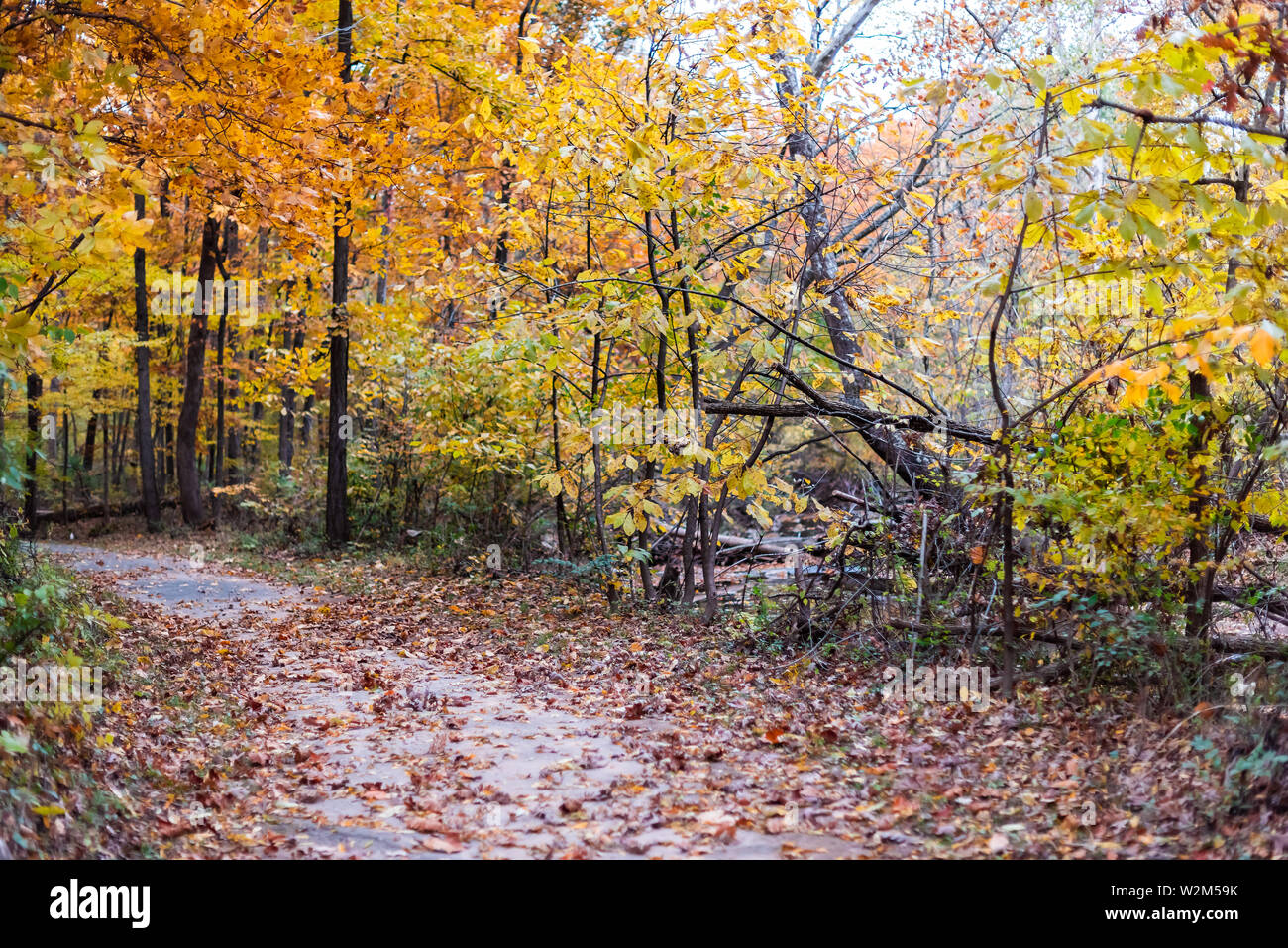 Fairfax county virginia view hi-res stock photography and images - Alamy